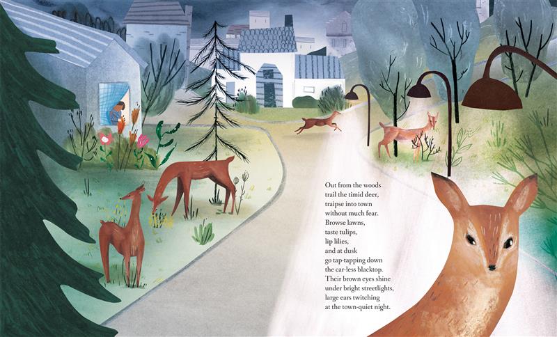 The Animals Come Out – House of Anansi Press