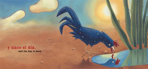 Rooster / Gallo – House of Anansi Press