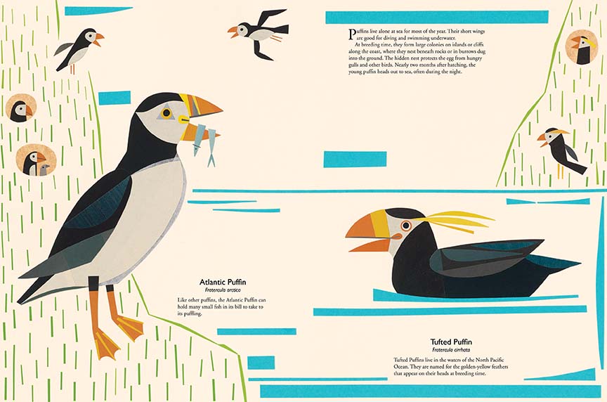 My Book of Birds – House of Anansi Press