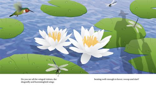 Lake: A See to Learn Book – House of Anansi Press